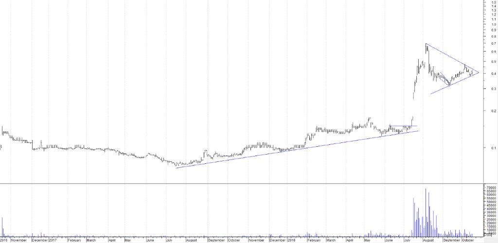 Bedout Basin and Beyond | The Wentworth Report
